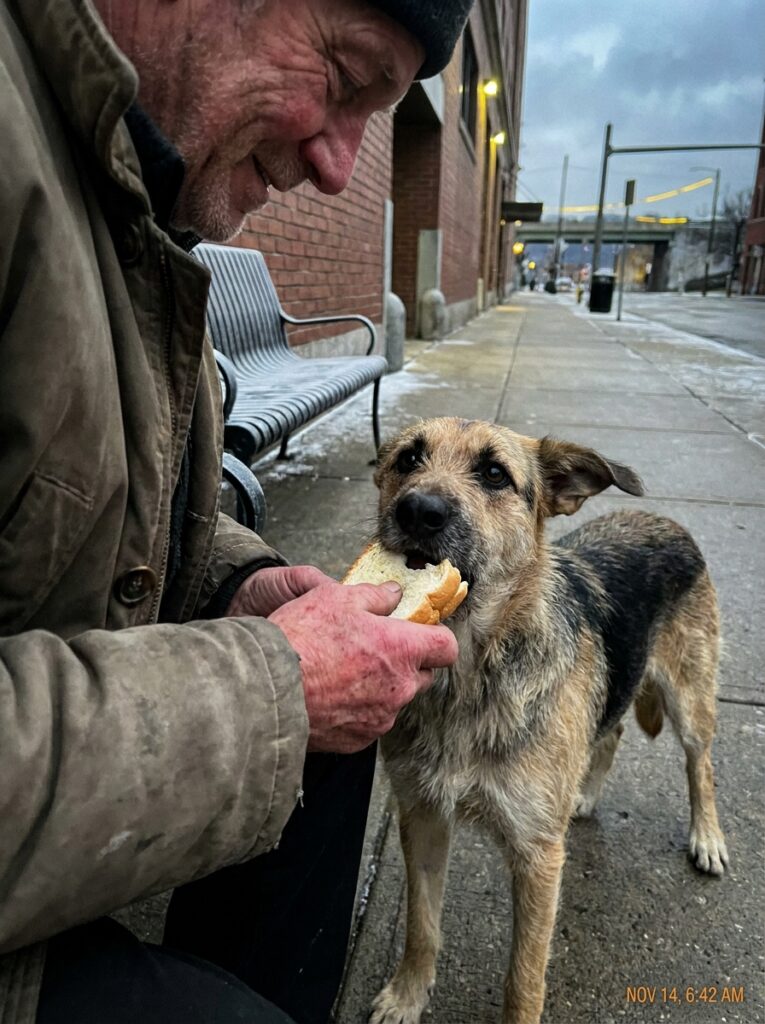 Part 2: A Starving Homeless Man Broke His Last Piece of Bread and Gave ...